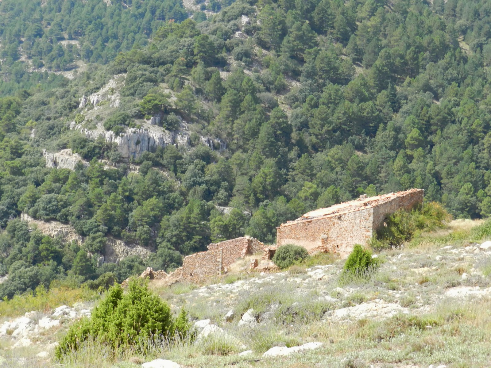 Senderismo y botánica: El Peñagolosa - El Rebollar