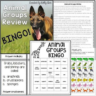 Created by Kelly Ann: The PERFECT Activities to Leave for Substitutes