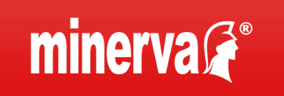 MINERVA: Hoja De Vida Minerva 1003, Como Diligenciarla