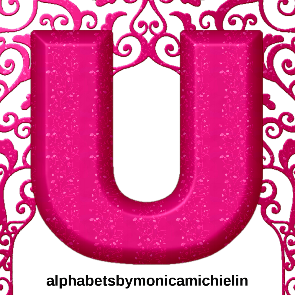 M. Michielin Alphabets: ALFABETO ROSA CHOQUE ORNAMENTOS PNG, PINK ...