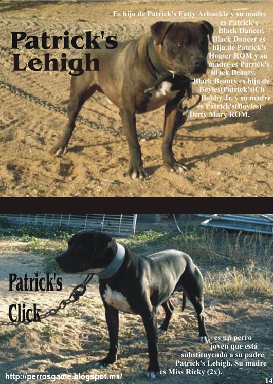 Pat Patrick - PerrosGame