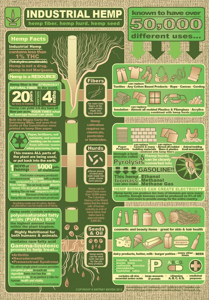 Every Day Is Special: April 21 - International Hemp Day