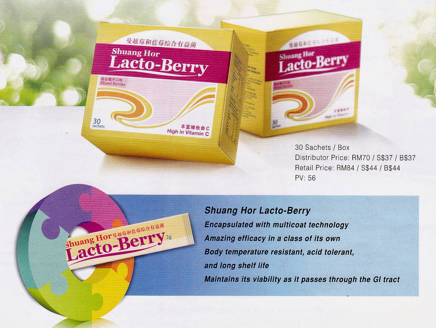 LingZhi Paradise: Lacto-Berry - The Beneficial Bacteria that Determine ...