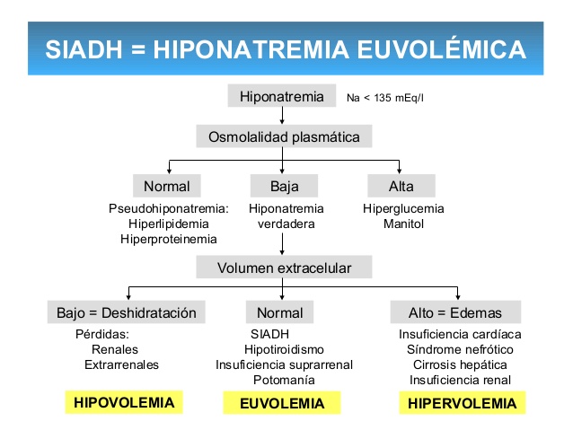Blog del Internista: Resumenes de Nefrología - Hiponatremia y ...
