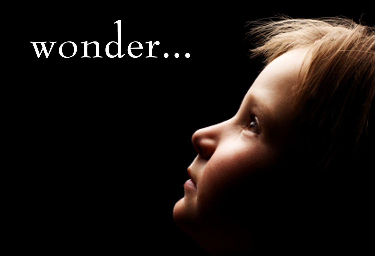 shards of light: expectations