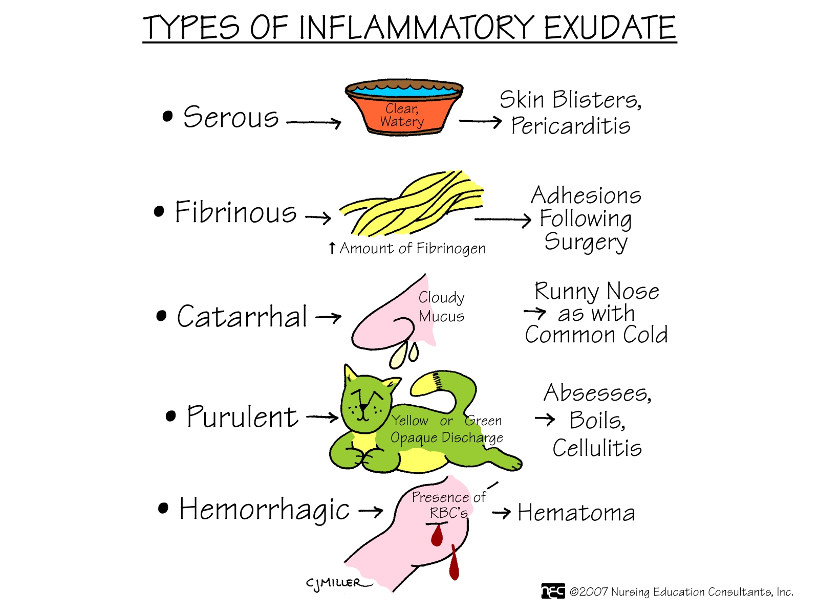 Nursing School: Basic Care Mnemonics