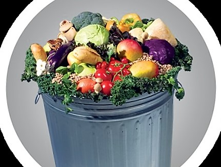 CAST: Less Food Waste in the "Good Old Days"?