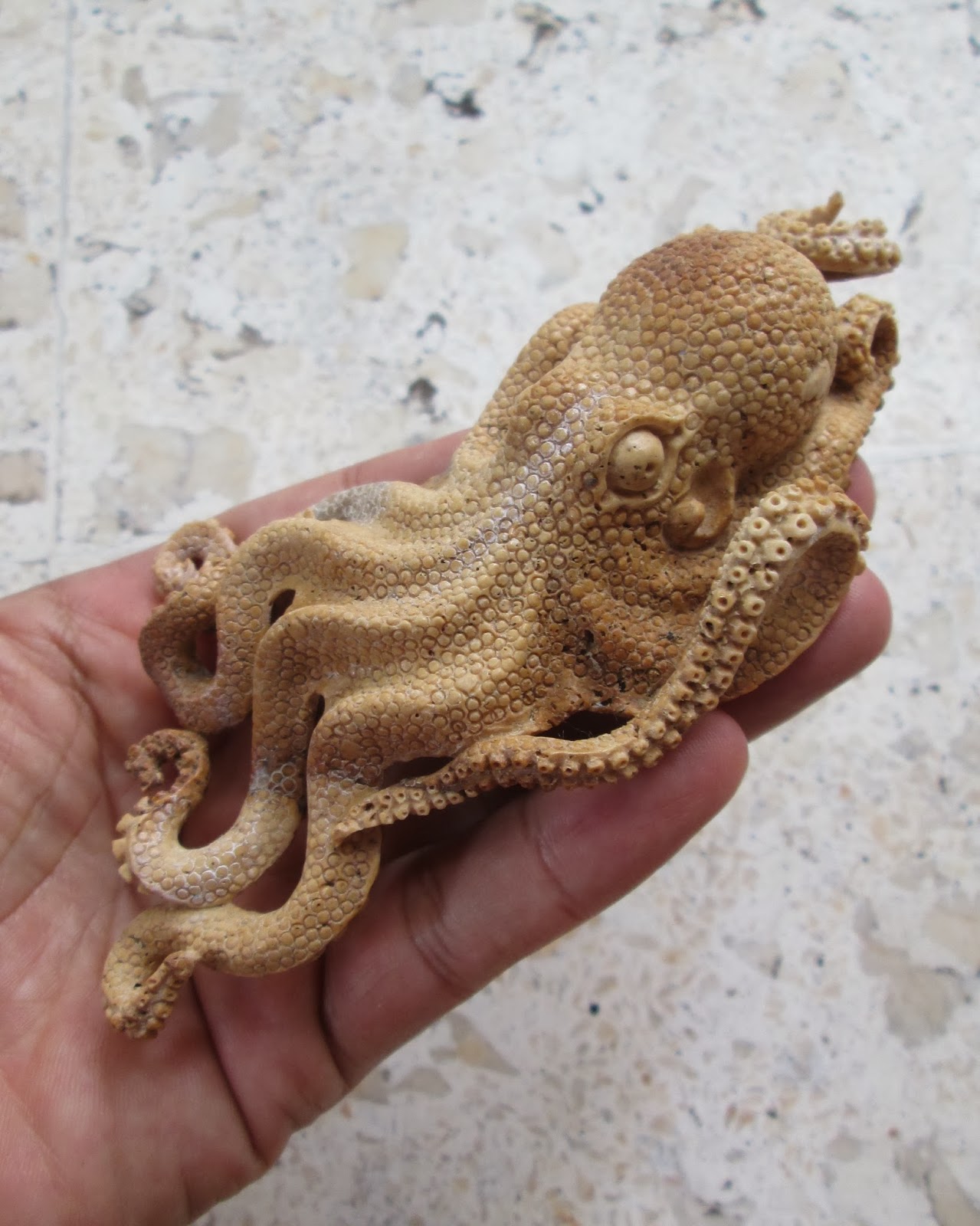 Octopus Bone Carving, Special Carving - Bone Pendants | Bone Carving ...