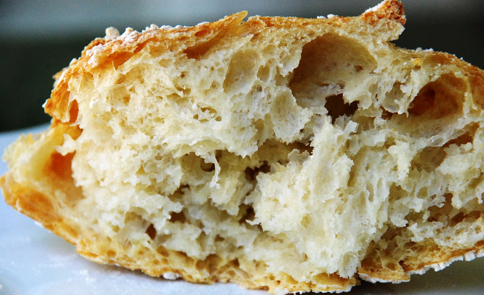 CupCakes and CrabLegs: No-Knead Bread