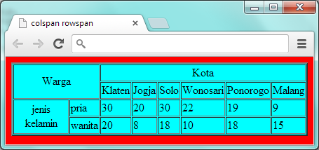 Membuat tabel menggunakan atribut colspan dan rowspan - Buton Website