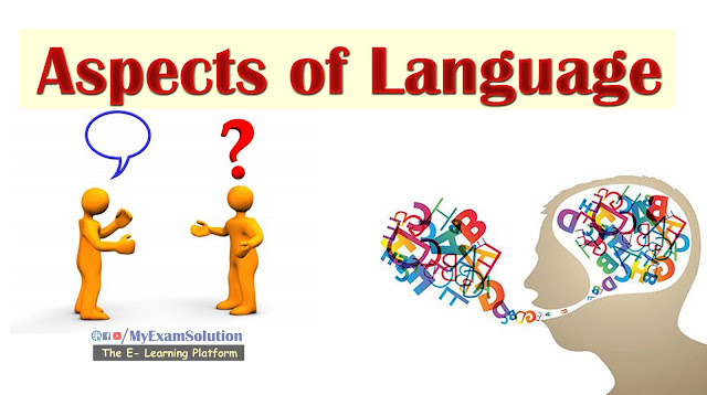 Aspects of Language - My Exam Solution