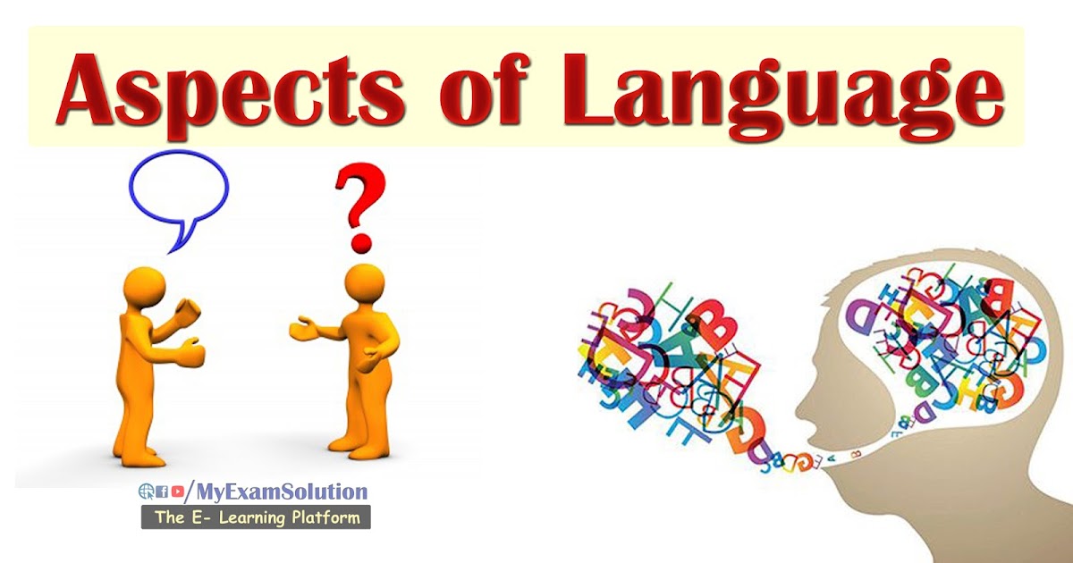Aspects Of Language My Exam Solution