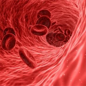 BIOFÍSICA - UNIVERSIDAD DE GUAYAQUIL: VISCOSIDAD SANGUINEA