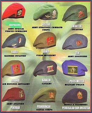 MACAM MACAM WARNA BARET DALAM KESATUAN TNI AD