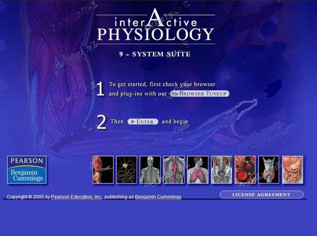 ADAM Interactive Physiology-9-System Suite Software | Anatomy Learning ...