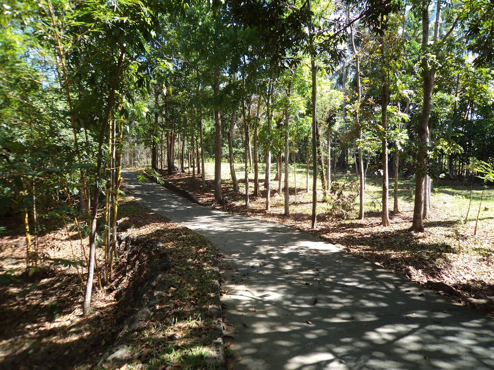Motley Blend: Iloilo: Trappist Monastery, Deco's & Madge Cafe