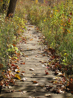 palatial regalia: o44