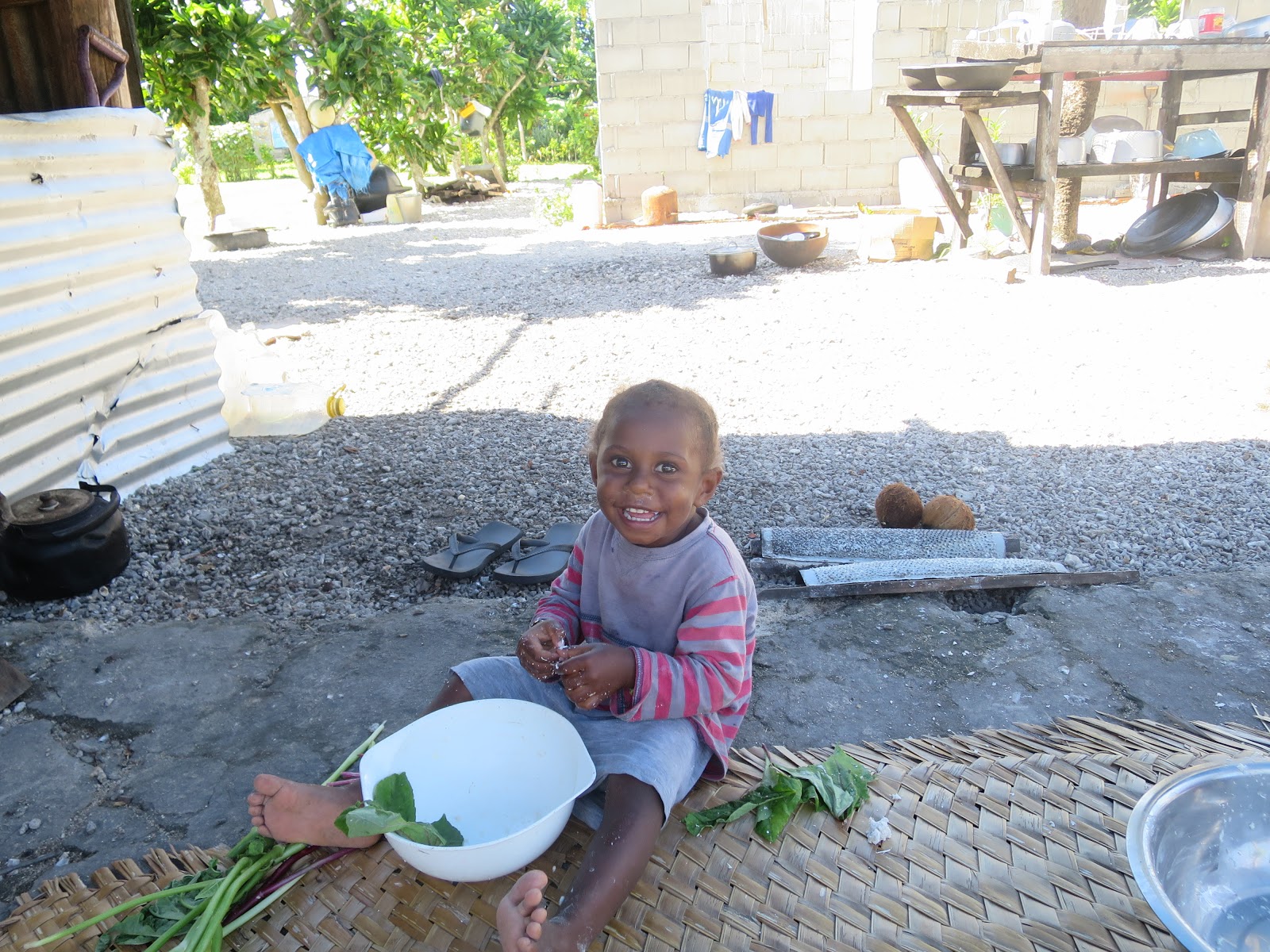 Food of Vanuatu: Training edition