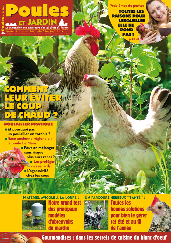 Poules et jardin