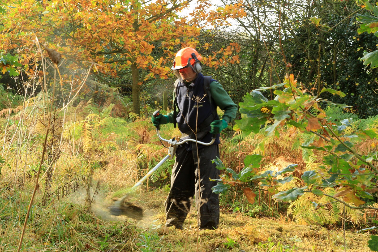 Gibside: A visit to Cherryburn