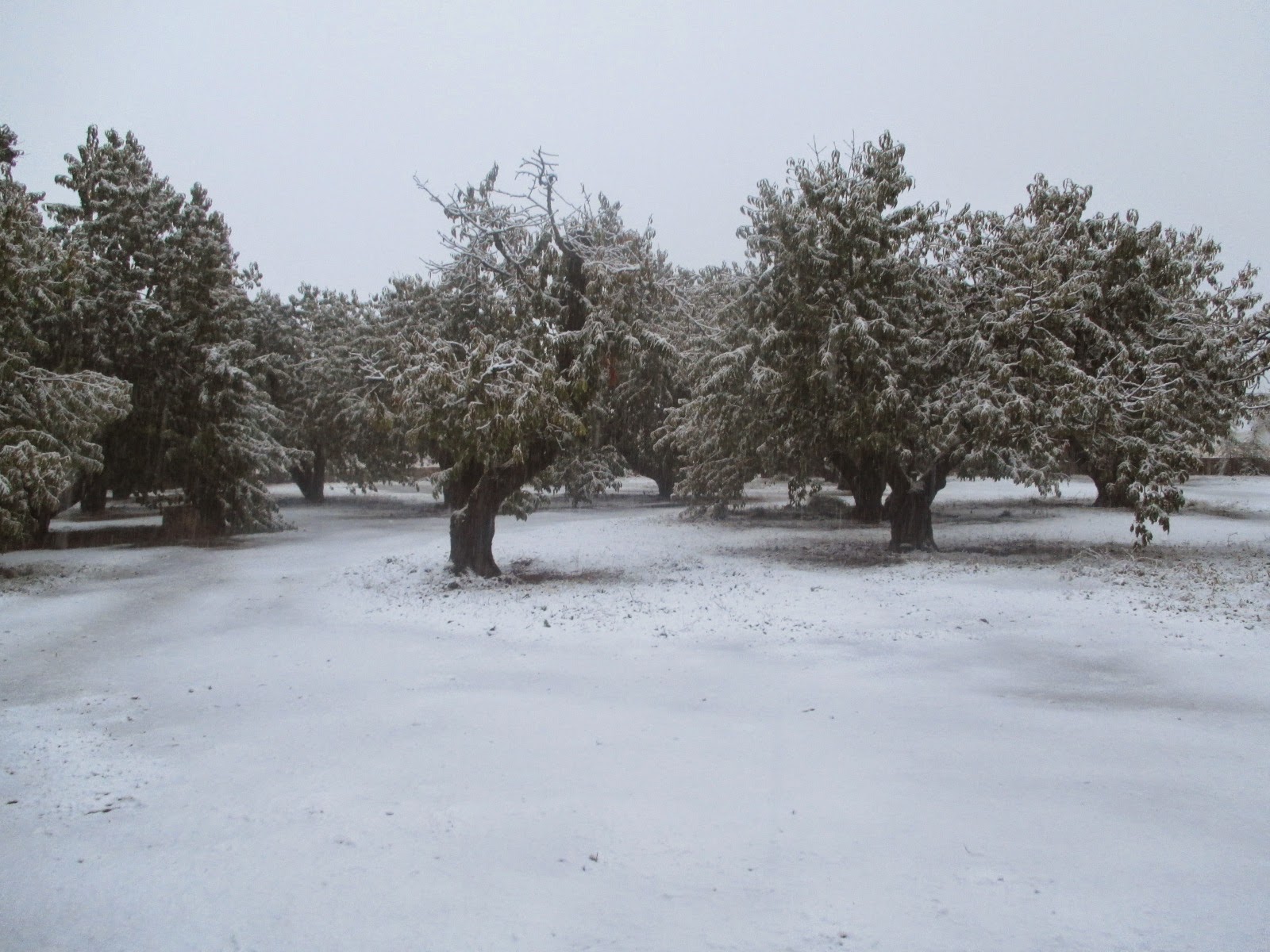 Nos balades au MAROC : Et maintenant la neige