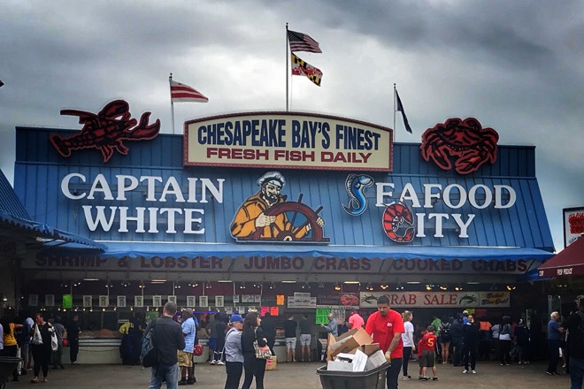 Art Walk - Eastern Market to the Wharf - Grapes & Grains