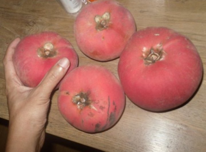 You Know You're From Bacolod, Philippines If...You Have Also Tried ...