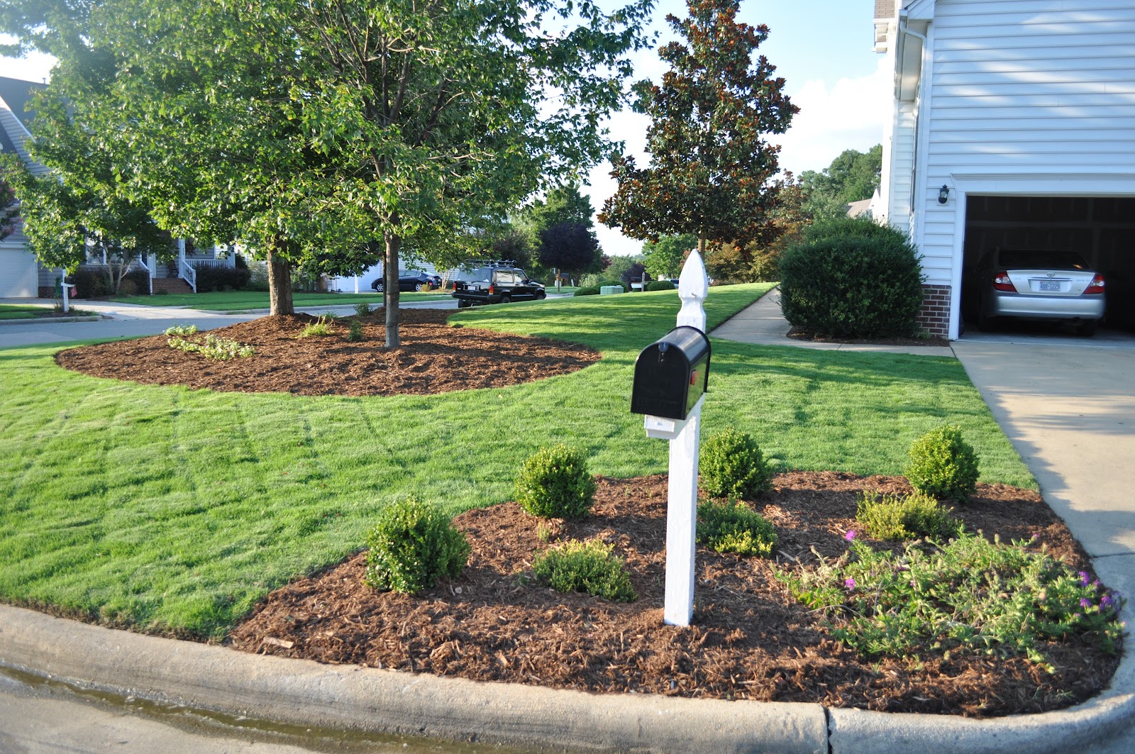 Aggressive Landscape Ideas For Weeds