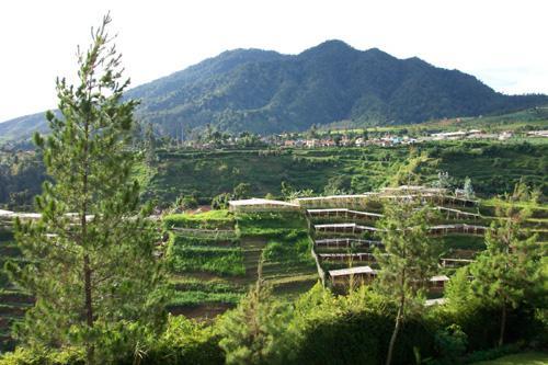 Caringin Tilu Bandung | Alam Bebas Indonesia