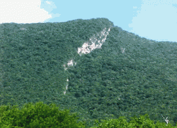 Características de Venezuela: Región Centro-Occidental