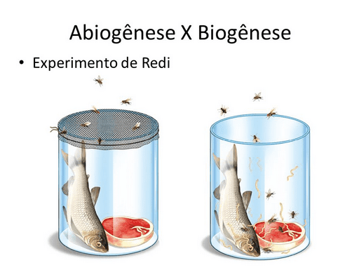 Origem da vida | Biologia: A ciência da vida