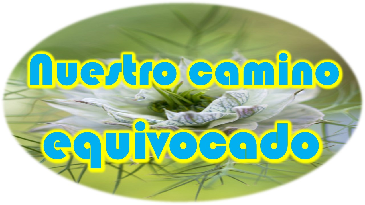 Tu vibrante voz Interior: NUESTRO PENSAMIENTO EQUIVOCADO