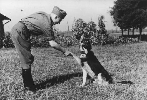 Not in the Heavens: Auschwitz