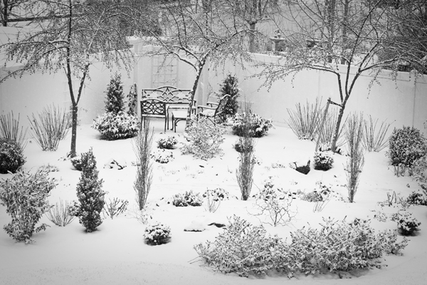 VW Garden: Snowy Garden