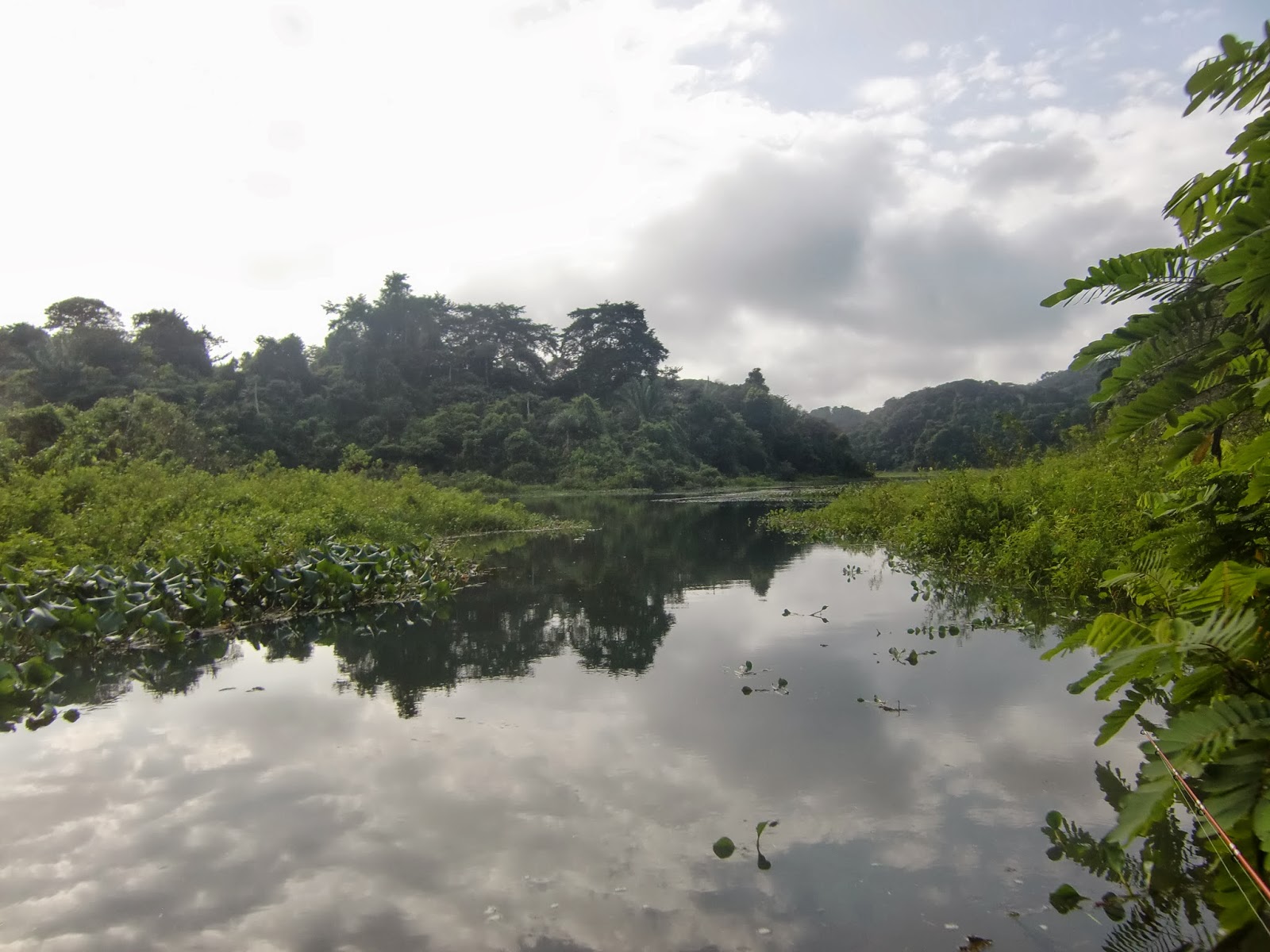 Masta'Fish guide pêche Bassin d 'Arcachon