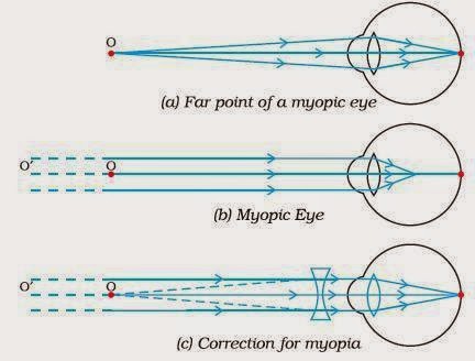 The Human Eye And The Colourful World (Class X Standard) : Full Explanation