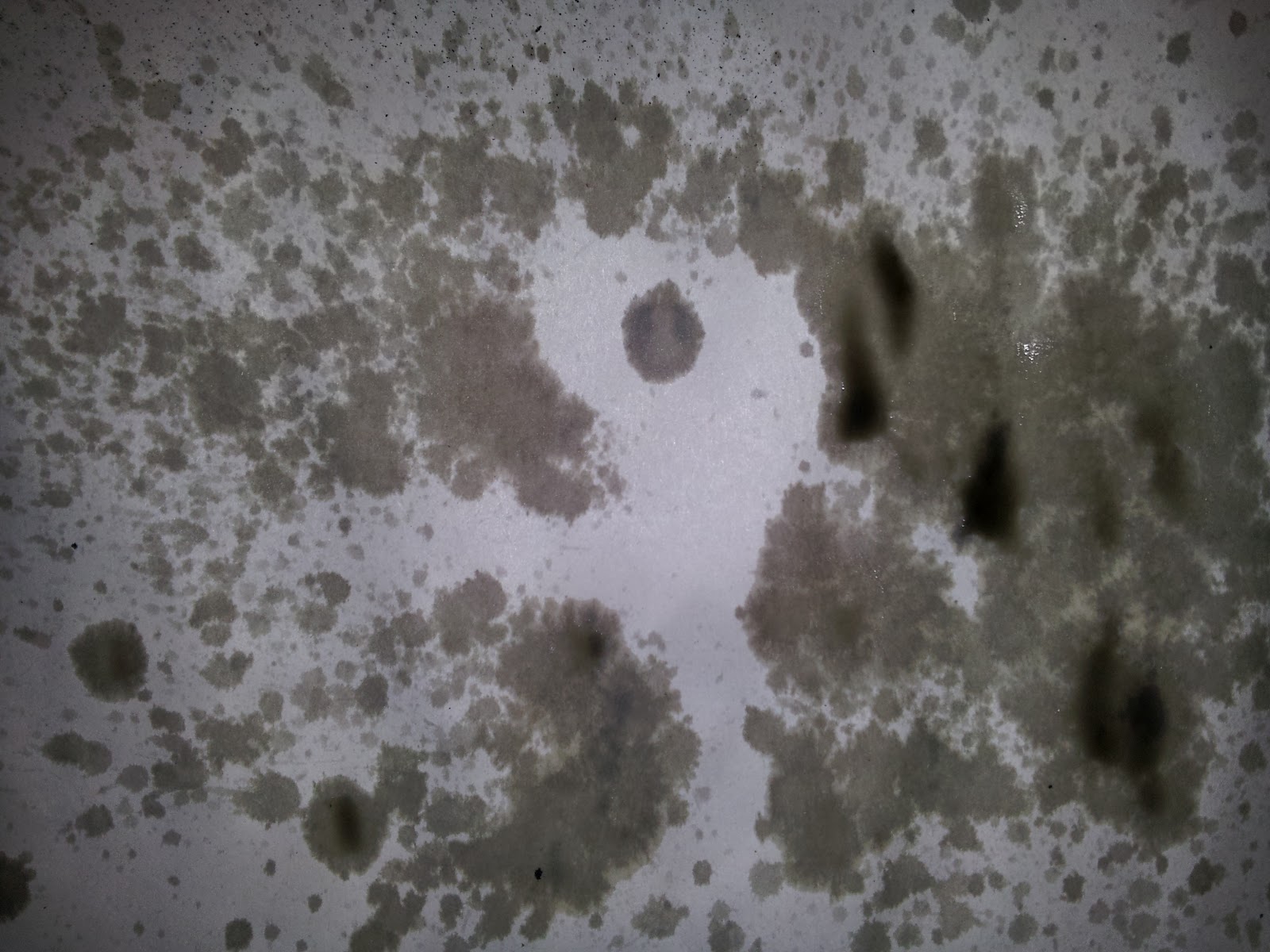 Adam's Memories: Andy Goldsworthy