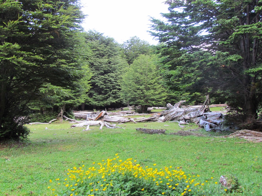 Retendo Momentos: Villa O'Higgens - Ruta Patrimonial Sendero Rio Mosco