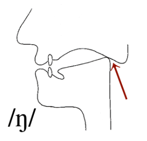 Nasal sounds /m/, /n/and/ᶇ/