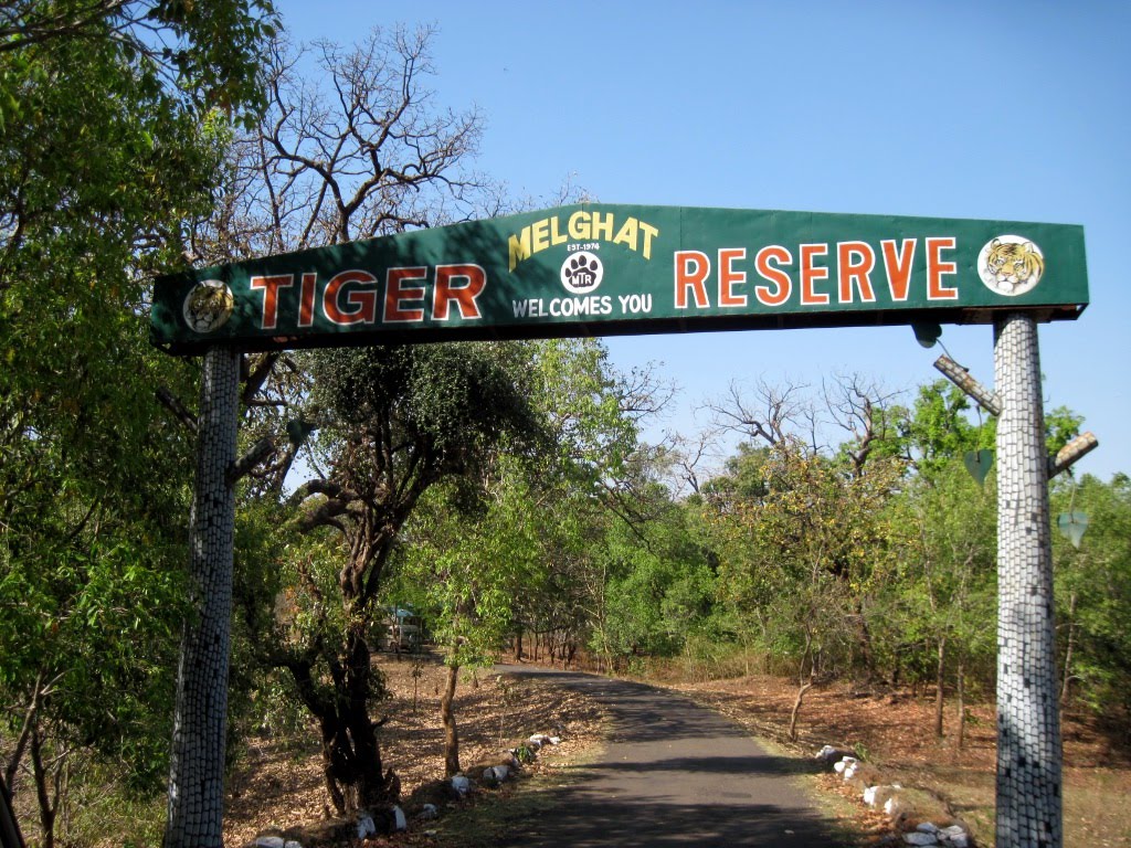 Nature Is Always Beautiful: Melghat Tiger Reserve Safari - Wildlife ...