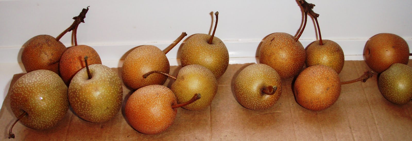 The Urbane Forager: A Nice Pear