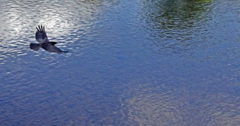 Como as águas de um rio - Apon na arte da vida