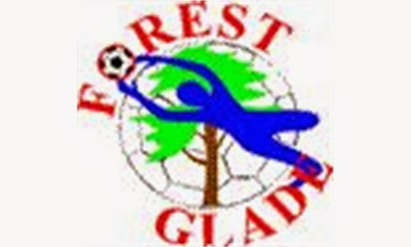 Forest Glade Under 7's: CONGRATULATIONS