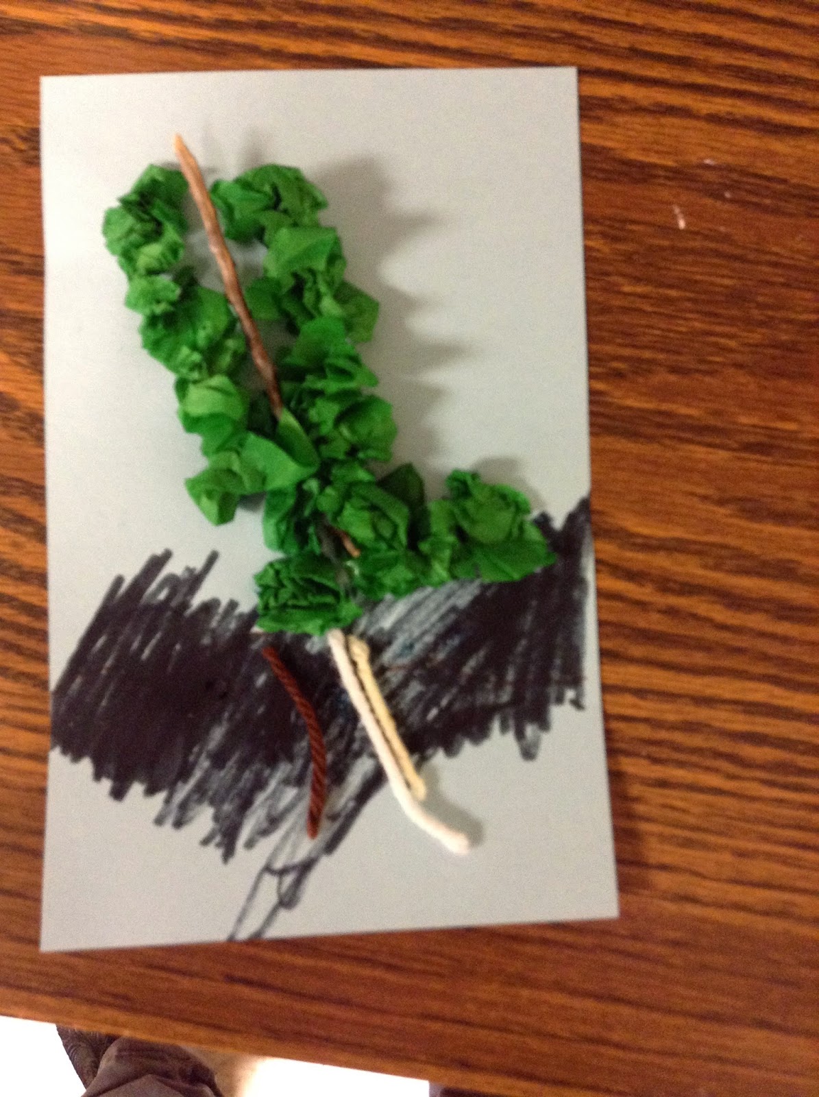 Laura's Little Learning Lab: Parts of a Tree Collage