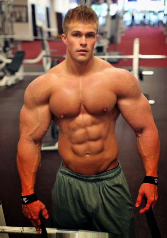 Into the Vault BUILT by tallsteve: 2014