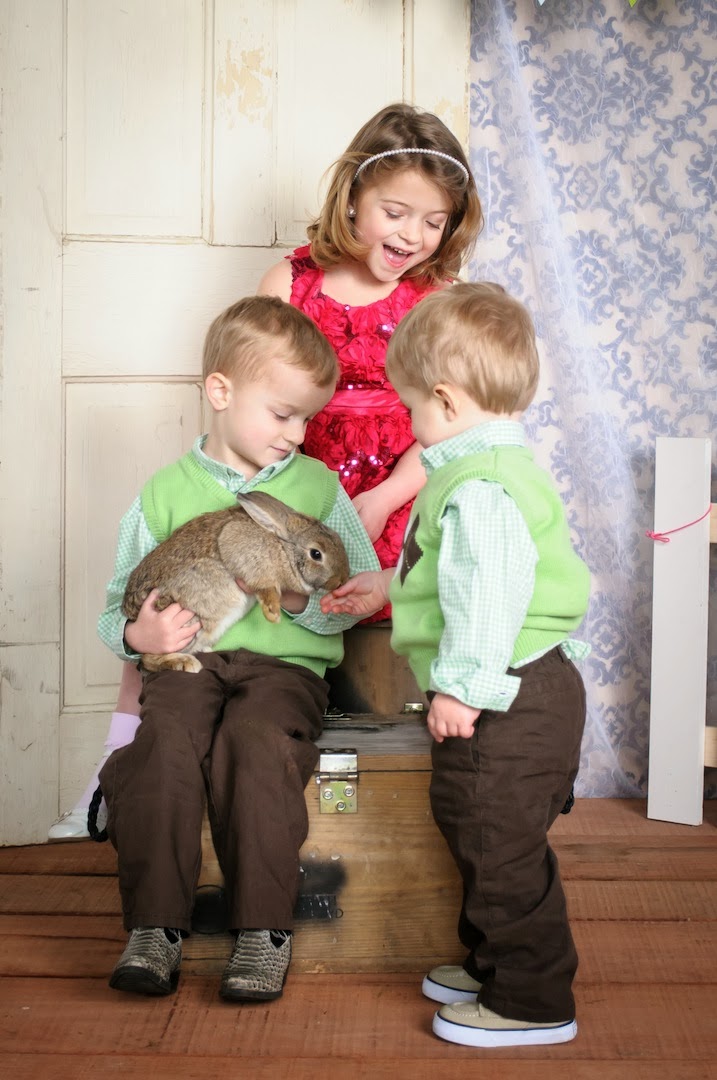 Robert Everton Photography: Limited Edition - Vintage Spring Mini's