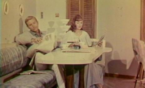 It's Craptacular!: Suburban Roulette