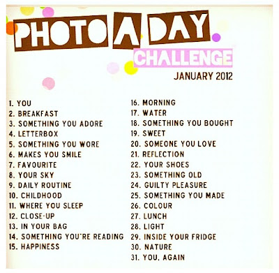 January photo challenge... complete! | Joy's Hope