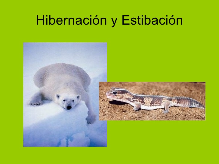 Aprendo con las ciencias: Tema 4