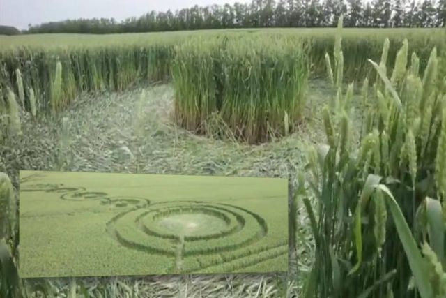‘Alien Patterns’ Drone buzzes mysterious crop circles in Adygea, Russia